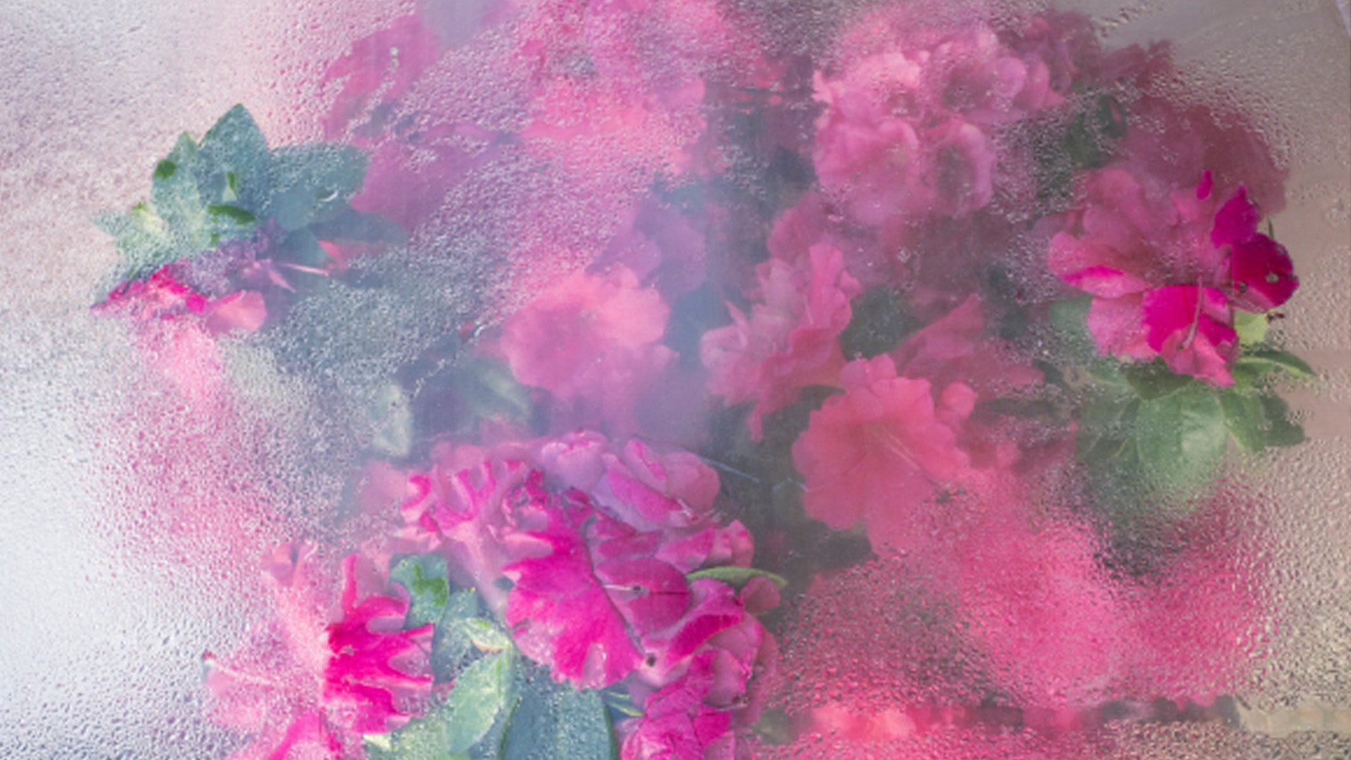 Valentine's day - Fotografiska Shop