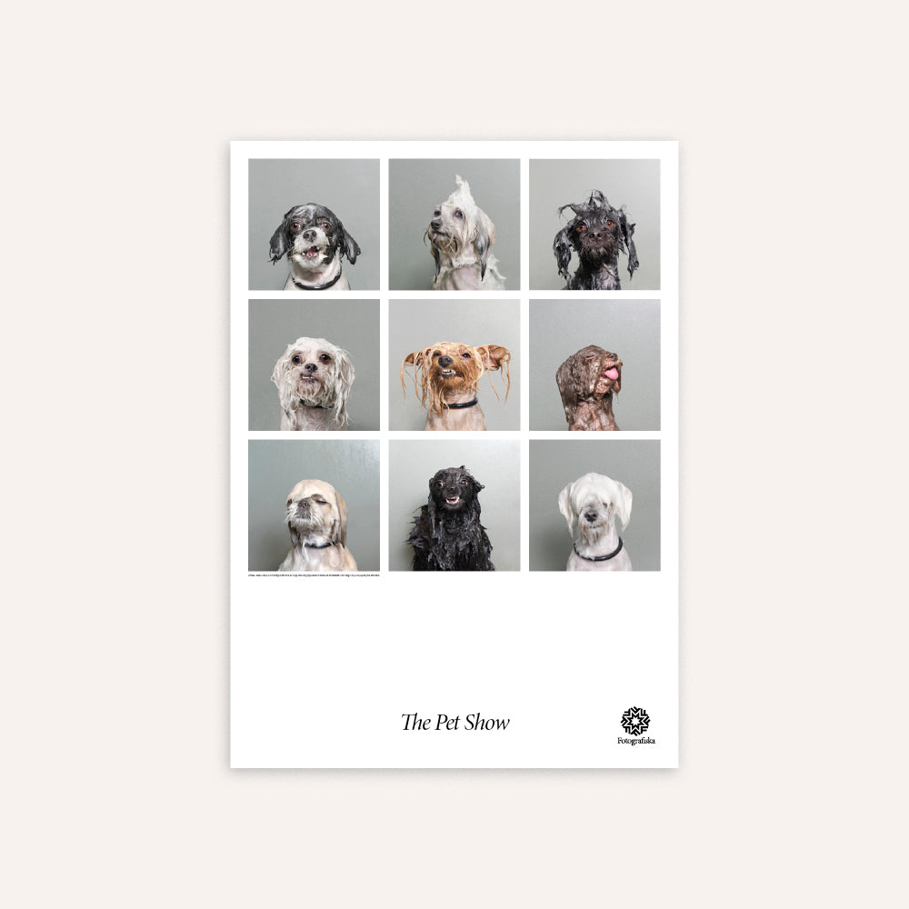Wet Dogs Poster - Sophie Gamand - Fotografiska
